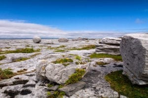 What Makes the Burren Unique? - Wild Rover Tours