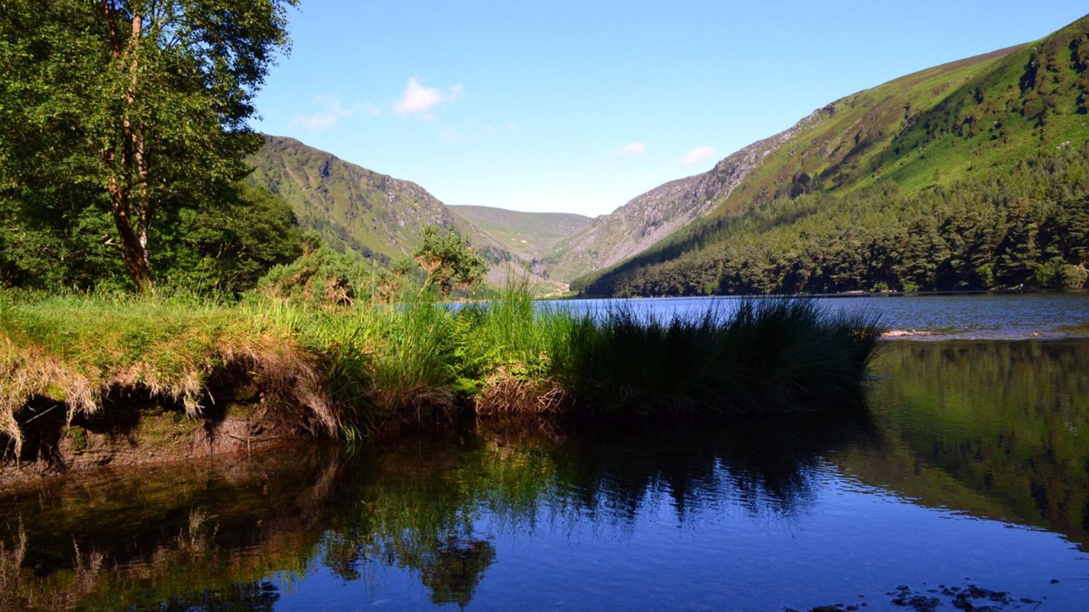 TripAdvisor Travellers’ Choice Award Winner 2024 - Wild Rover Tours