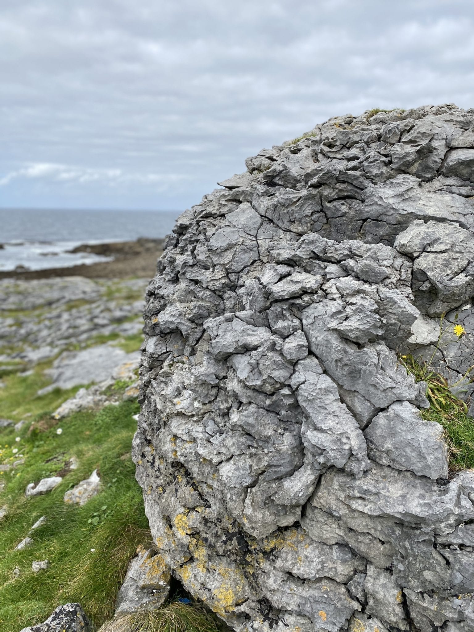What to Expect on Your Day Tour to the Cliffs of Moher, The Burren and ...
